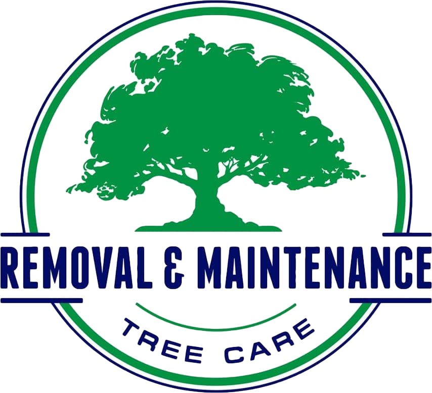R M Tree Care | The Northshore's Professional 24/7 Tree Care Service