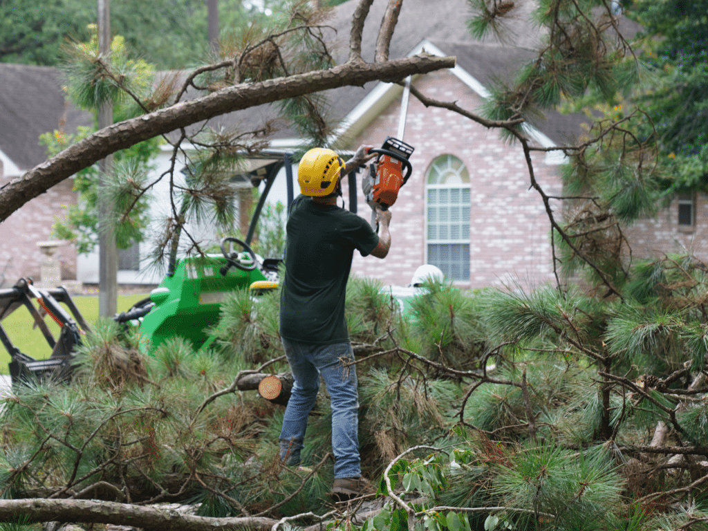 Emergency Storm Cleanup | Removal & Maintenance Tree Care