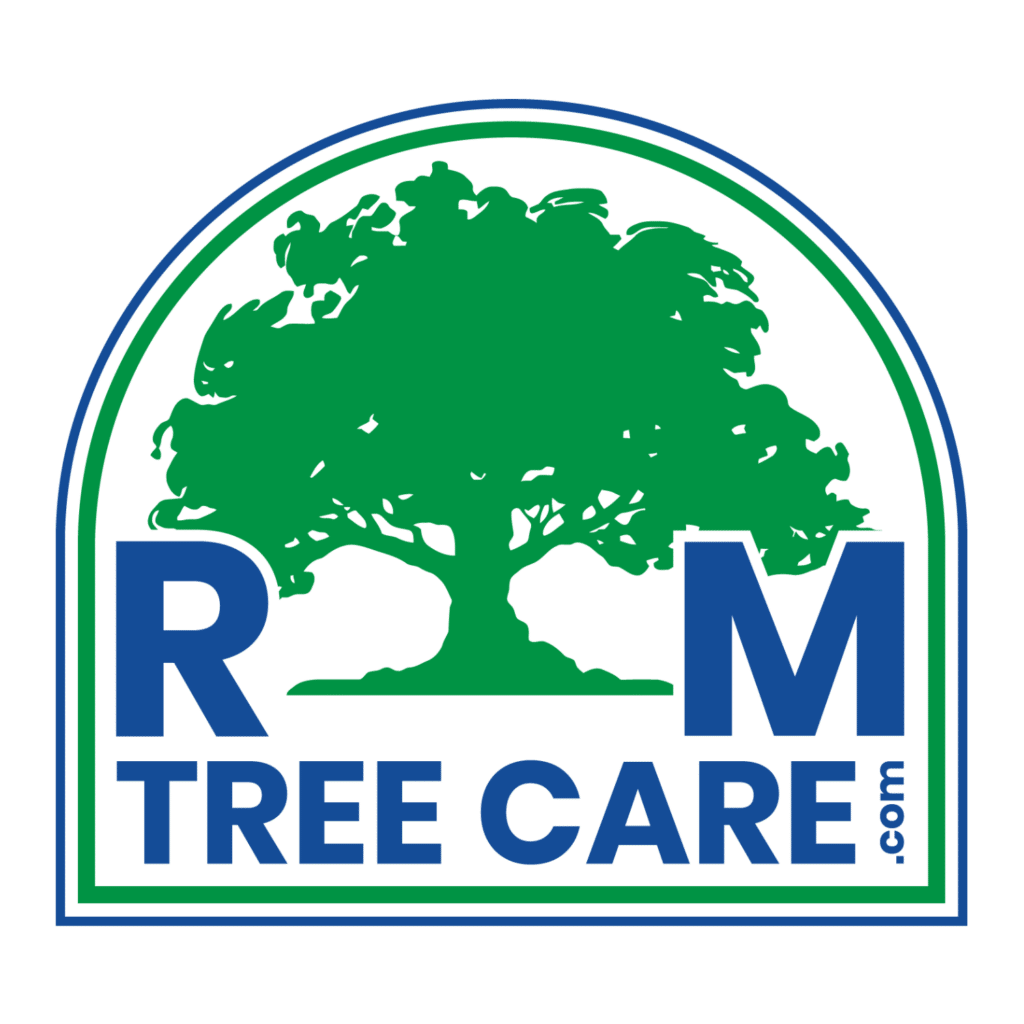 R M Tree Care | The Northshore's Professional 24/7 Tree Care Service