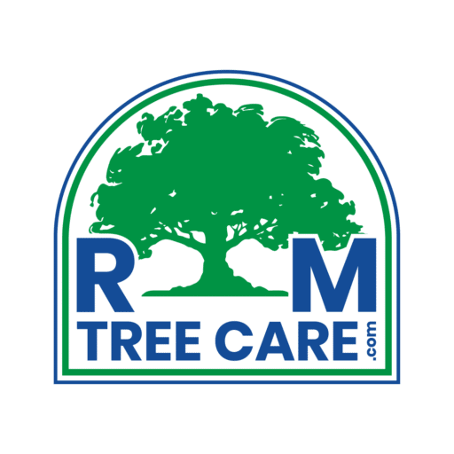 R M Tree Care | The Northshore's Professional 24/7 Tree Care Service